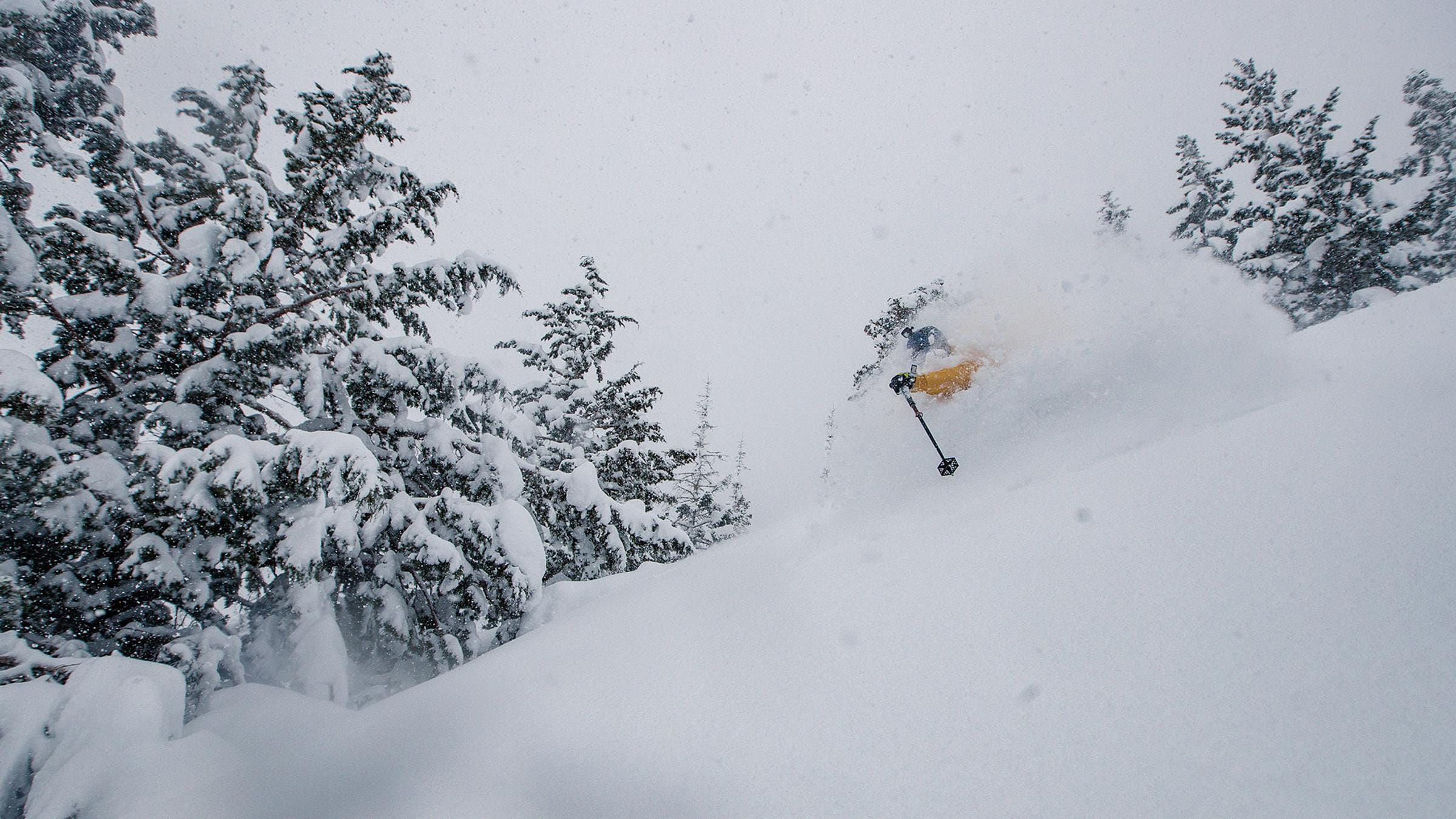 Deals & Savings | Book Online | June Mountain Ski Area